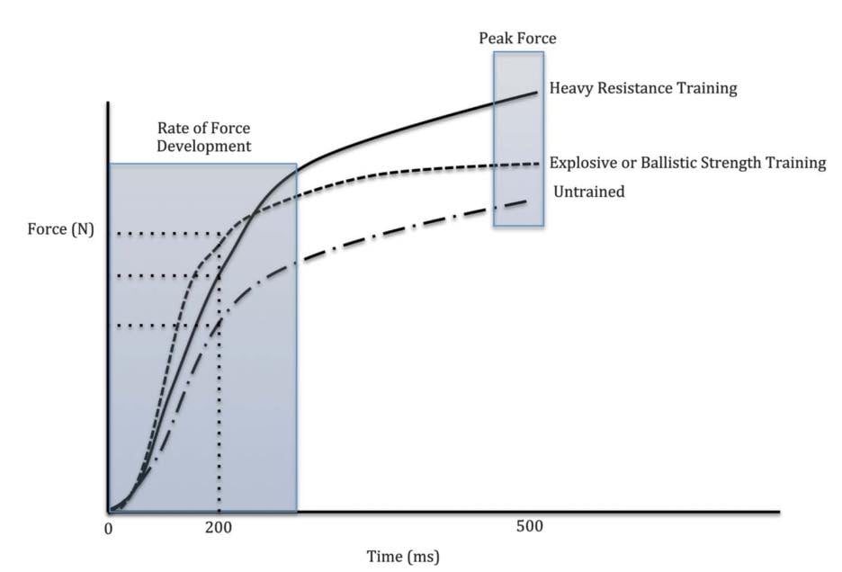 What Is Rate Of Force Development (RFD)?
