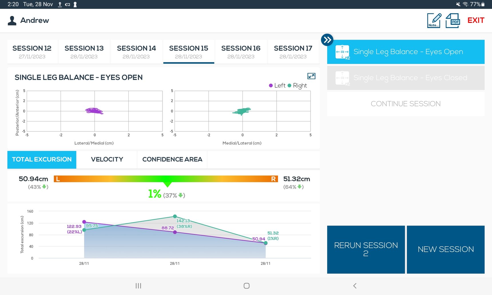 What Is Balance COP Total Excursion